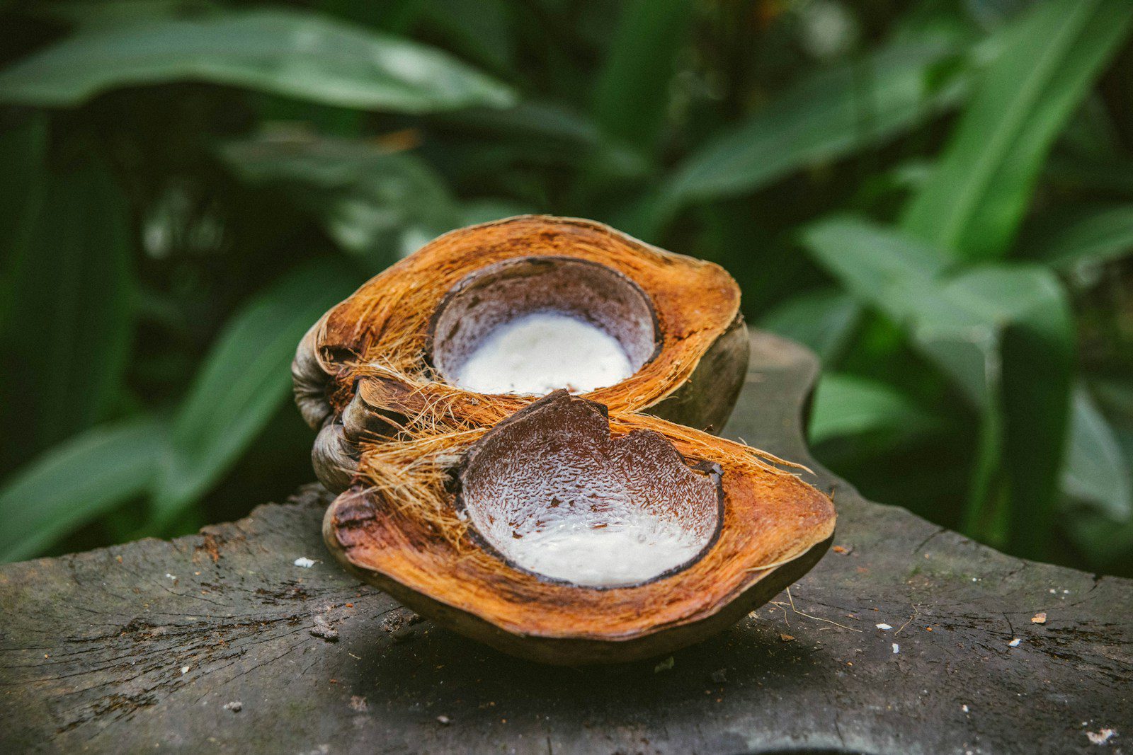 How to Make Desiccated Coconut at Home: Step-by-Step Guide